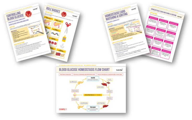 Homeostasis Teaching Activities for Unit 2 Human Biology & Health | AAQ ...