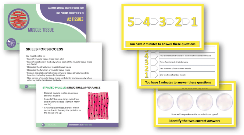 A2 Muscle Tissue Topic PowerPoint and Interactive Games | Unit 2 Human ...