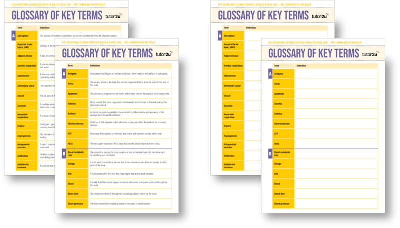 Glossary for Unit 2 Human Biology & Health | AAQ BTEC National ...