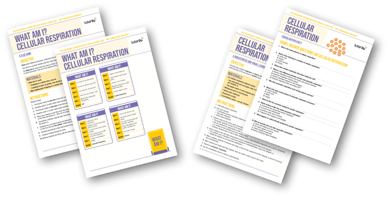 Cellular Respiration Teaching Activities for Unit 2 Human Biology ...