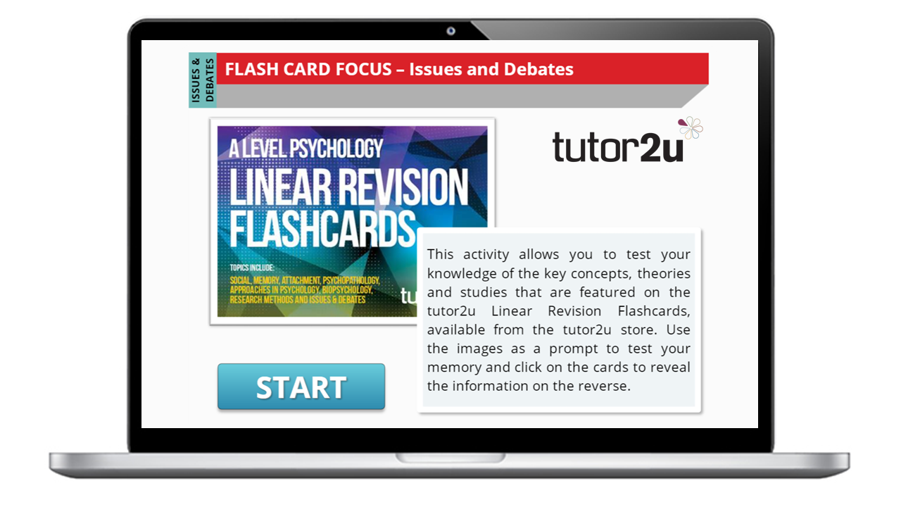 Issues & Debates "Flashcard Focus" Activity | Reference Library ...