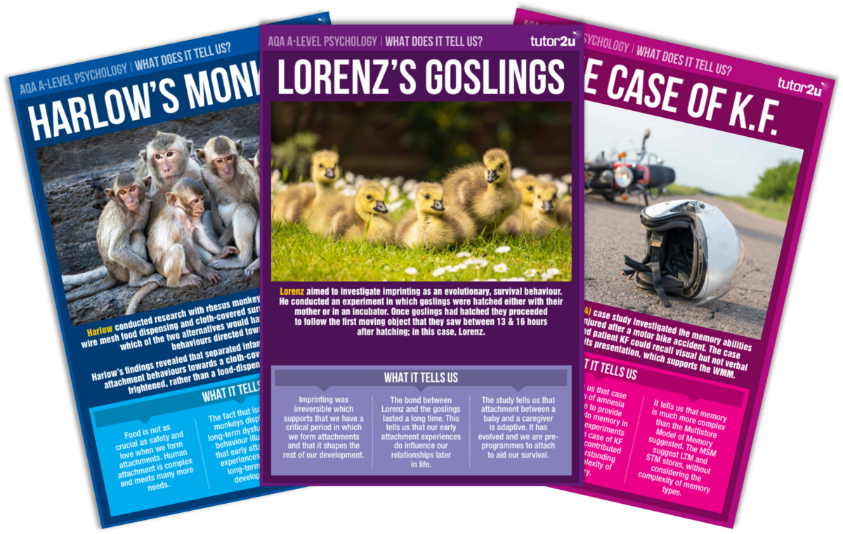 What Research Tells Us | AQA A Level Psychology Classroom Posters ...