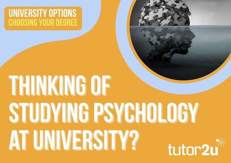 Wall display: Studying a Psychology related course at university (for ...