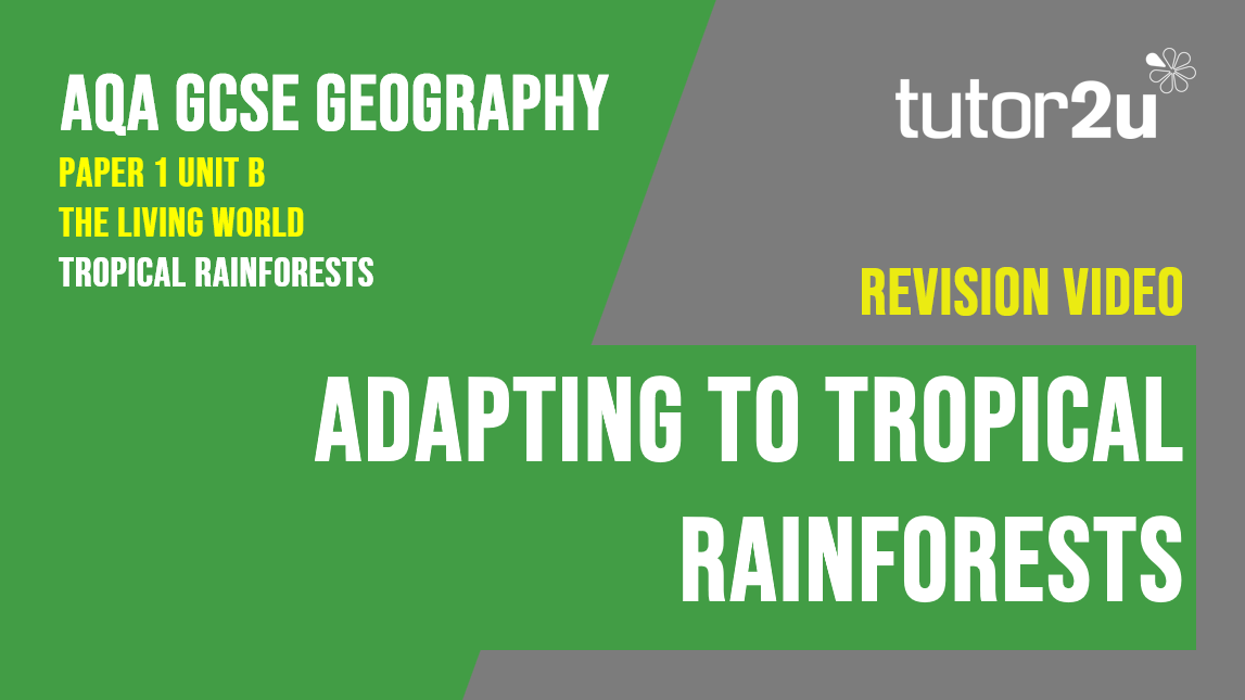 Topic Video for AQA GCSE Geography: Adapting to the Tropical Rainforest ...