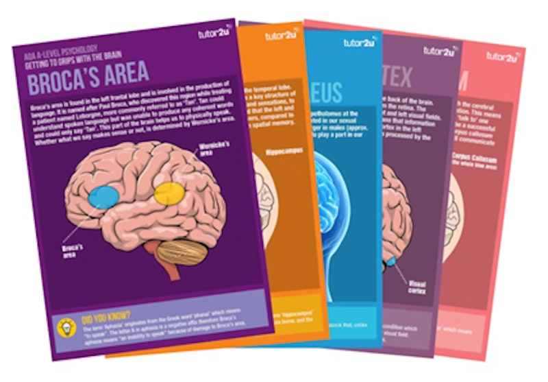Free Resources | AQA A Level Psychology | Blog | Psychology | tutor2u