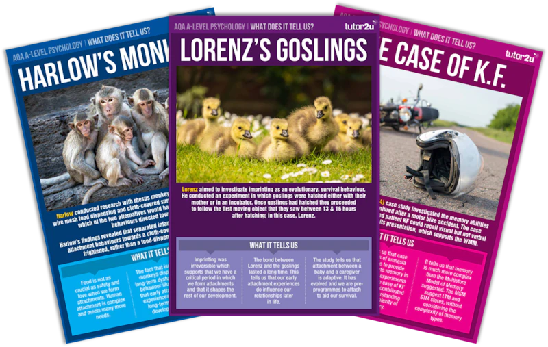 What Research Tells Us | AQA A Level Psychology Classroom Posters ...