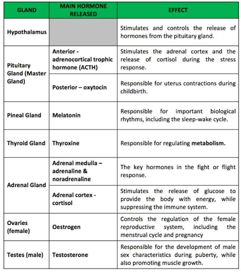 Biopsychology The Endocrine System Hormones Reference Library biopsychology-the-endocrine-system-hormones-reference-library
